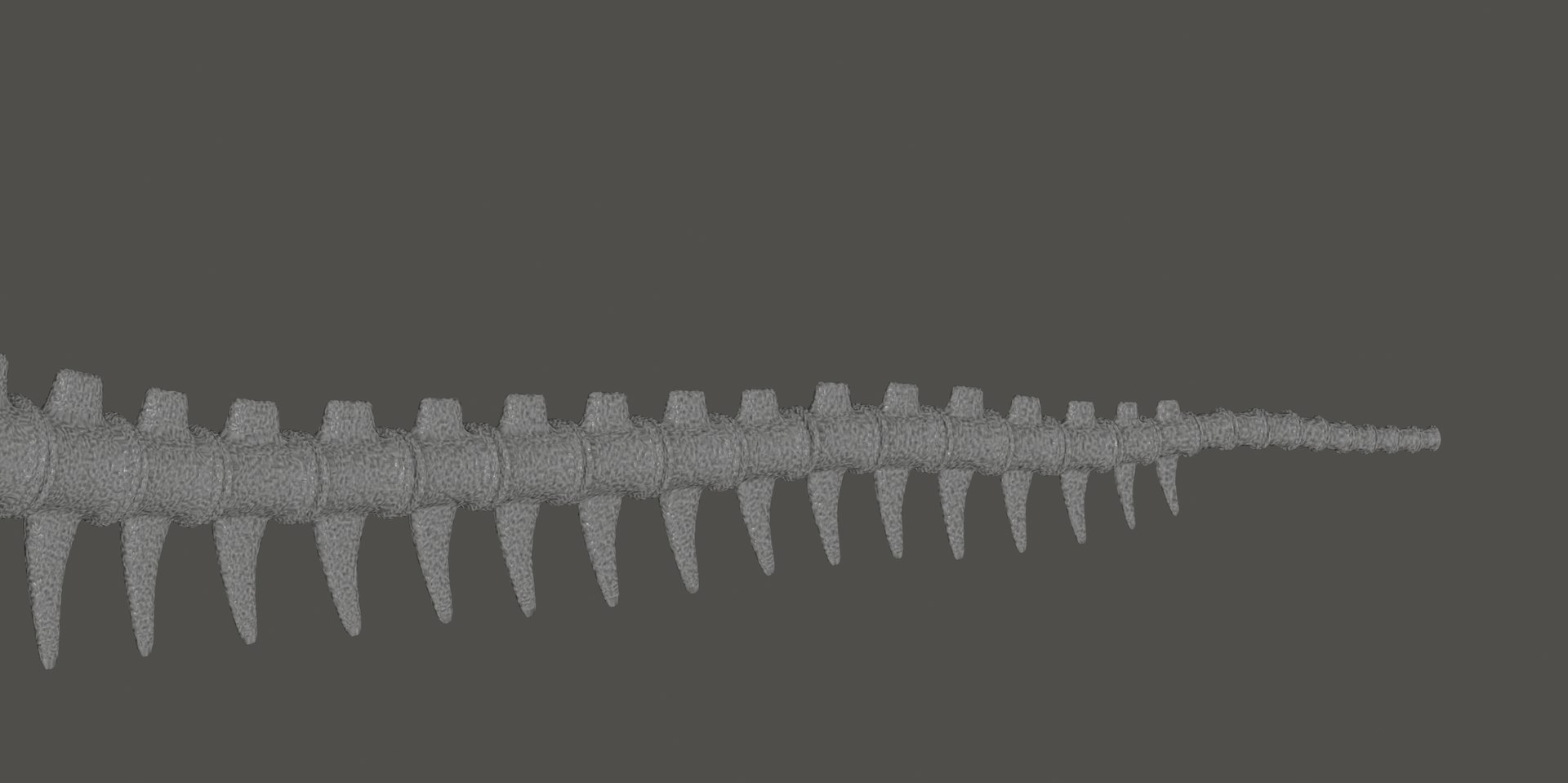 Tyrannosaurus Rex Fossil 3D Model - TurboSquid 2198684