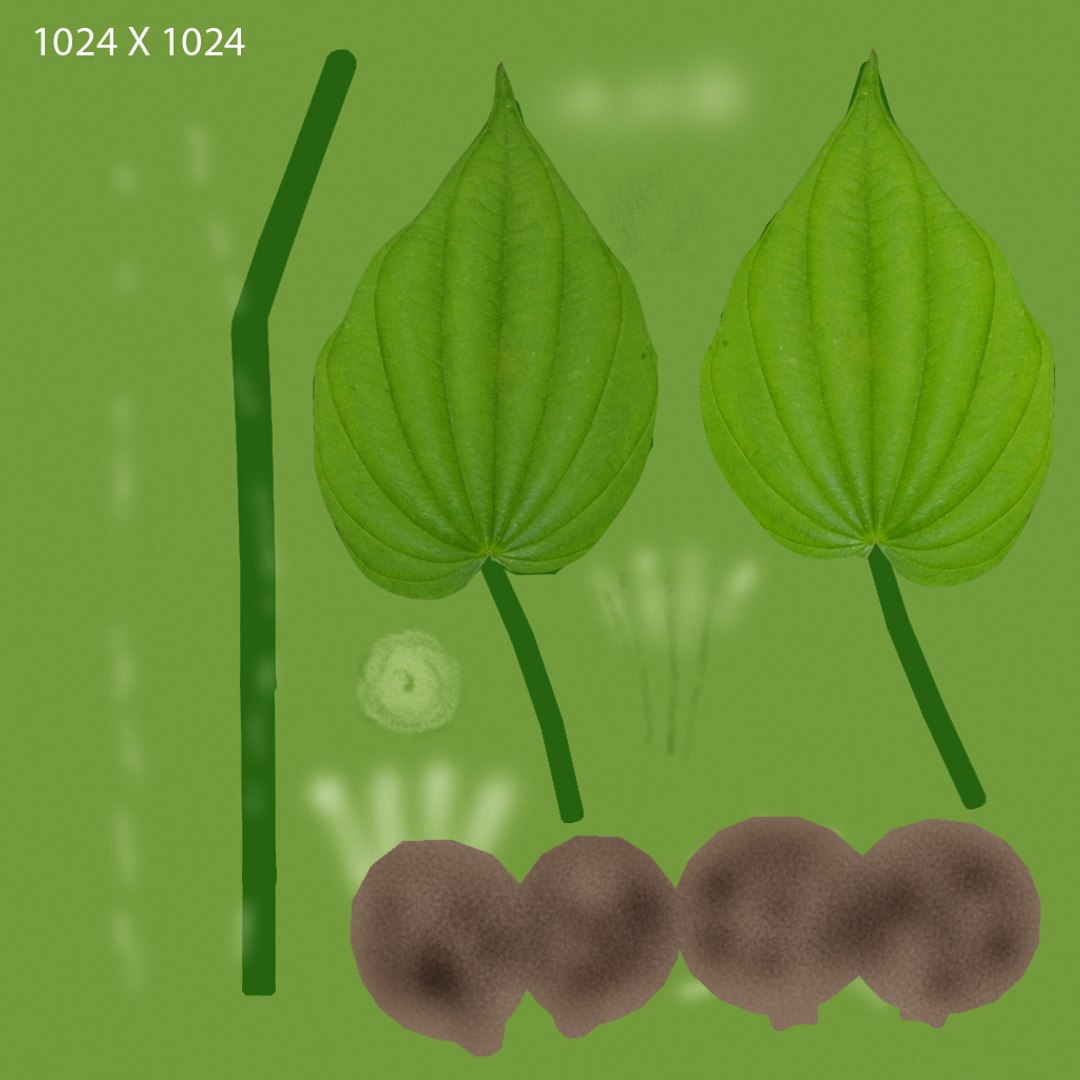 Dioscorea Plants Obj