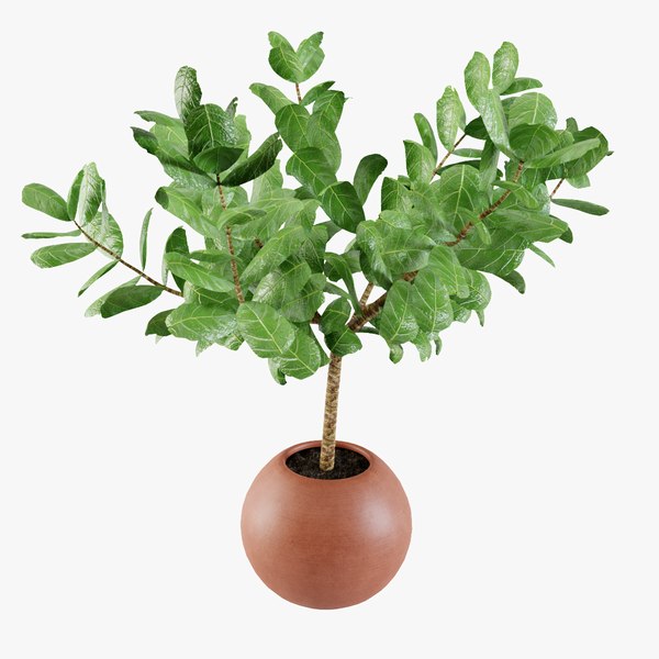 3D plant design modeled - TurboSquid 1500026