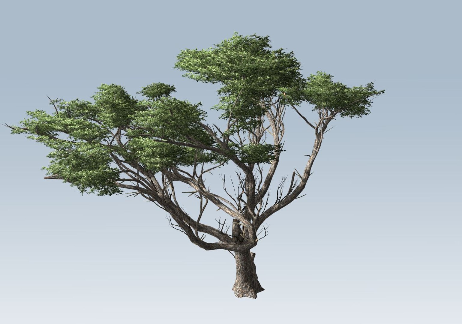 3D Branches Leaves - TurboSquid 1376217