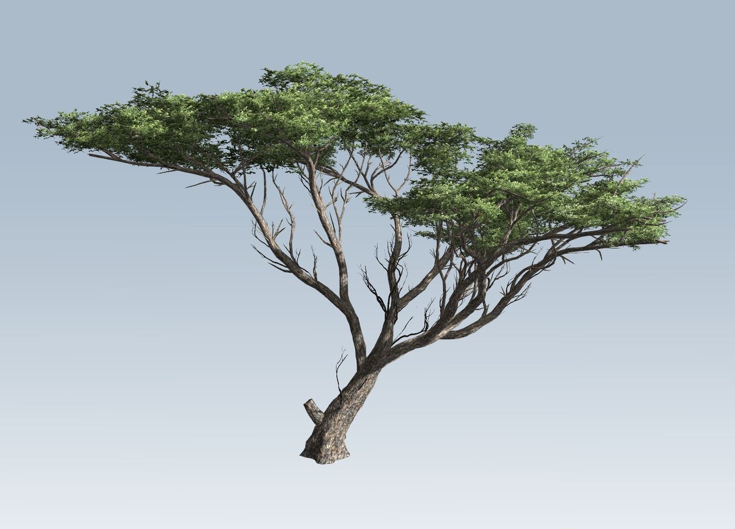 3D Branches Leaves - TurboSquid 1376217