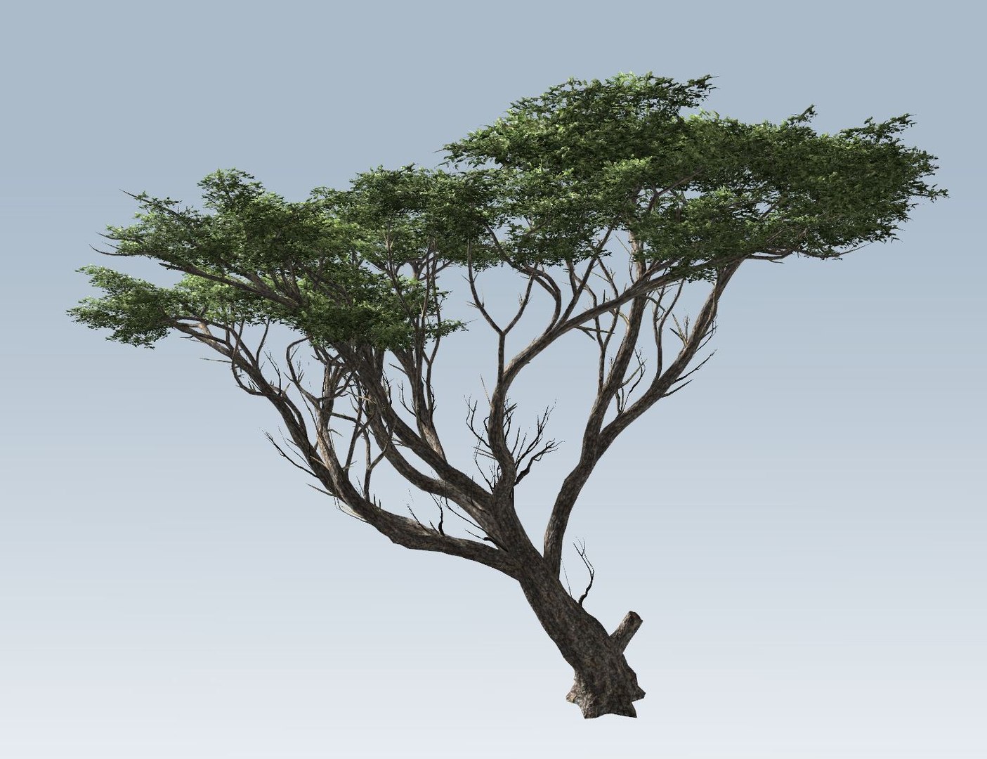 3D Branches Leaves - TurboSquid 1376217