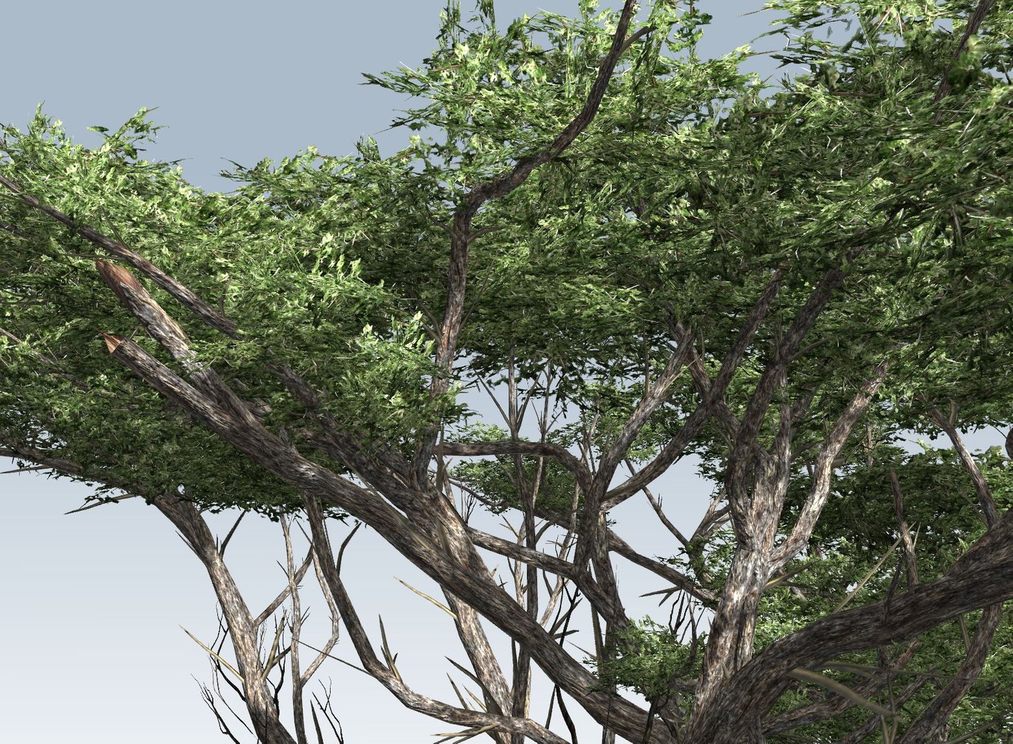 3D Branches Leaves - TurboSquid 1376217