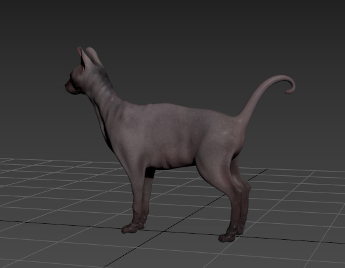 Cat Sfenks Model - TurboSquid 1475513