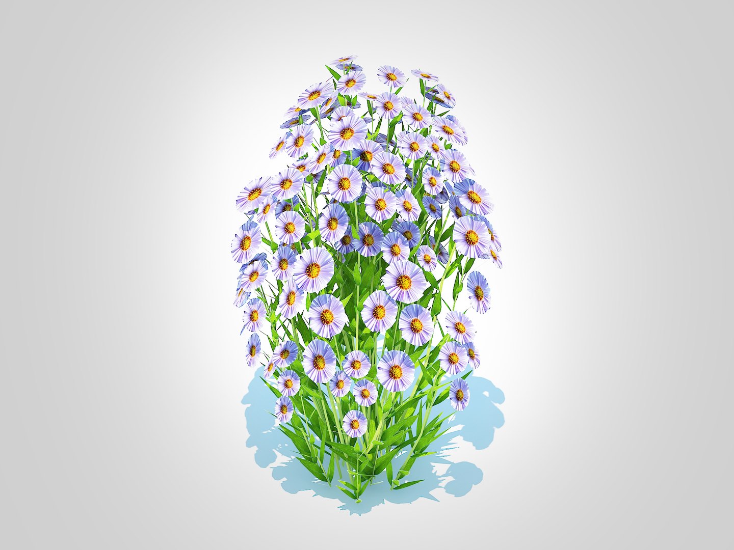 Aster Novi-belgii - New York Aster - Blue 3D Model - TurboSquid 2273049