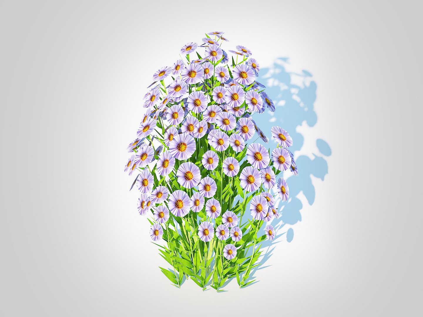 Aster Novi-belgii - New York Aster - Blue 3D Model - TurboSquid 2273049