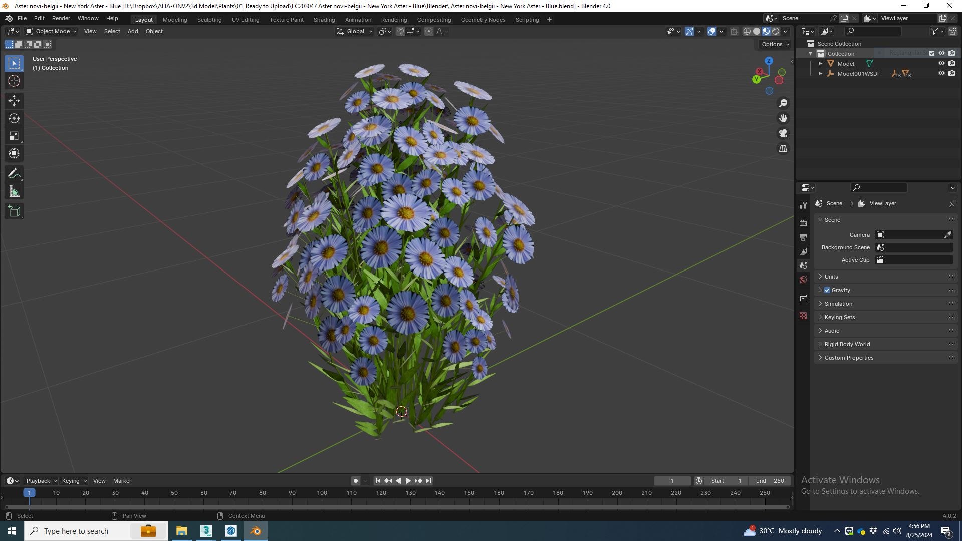 Aster Novi-belgii - New York Aster - Blue 3D Model - TurboSquid 2273049