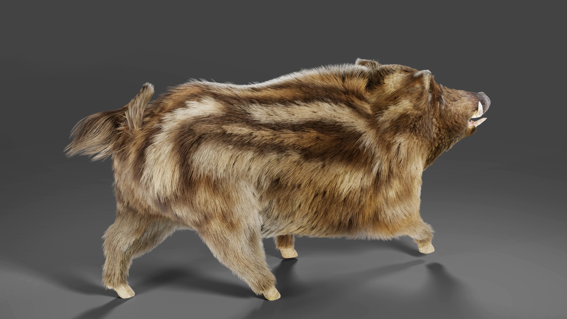 Fur Wild Boar V03 Rigged in Blender model - TurboSquid 1991114
