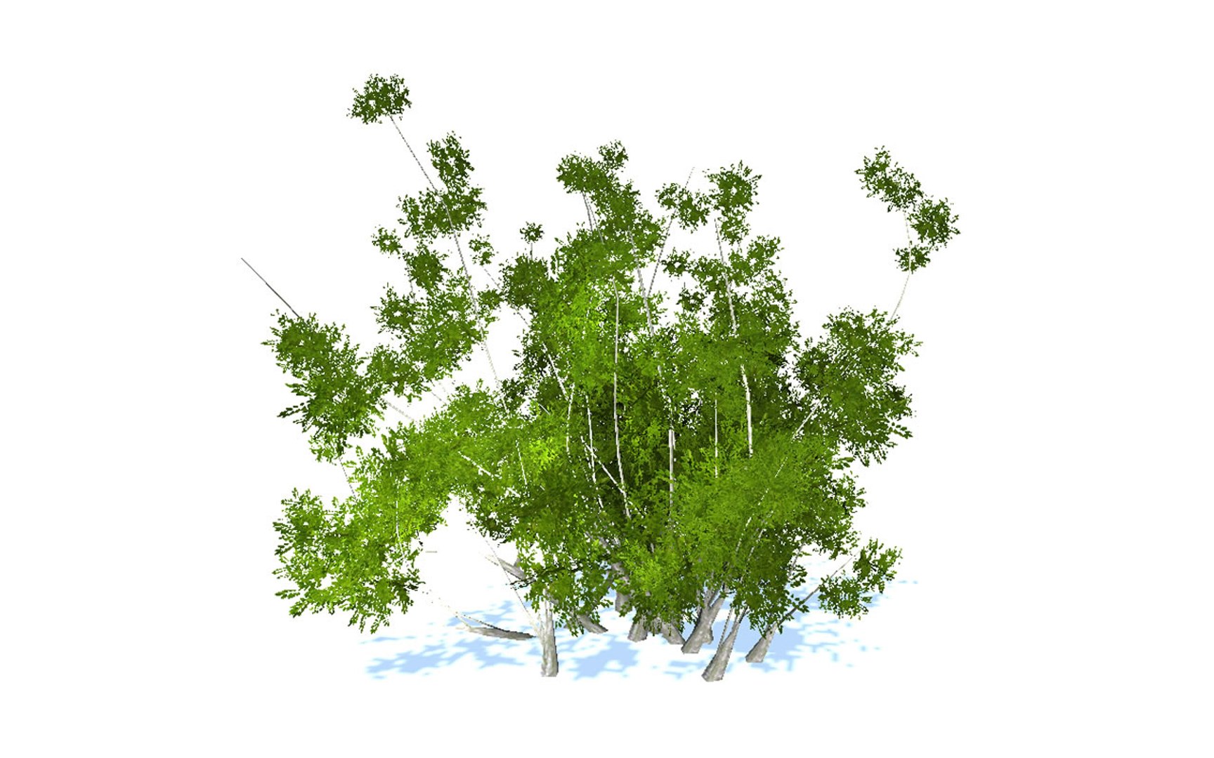Natural Forest Bushes 3D Model - TurboSquid 1513579