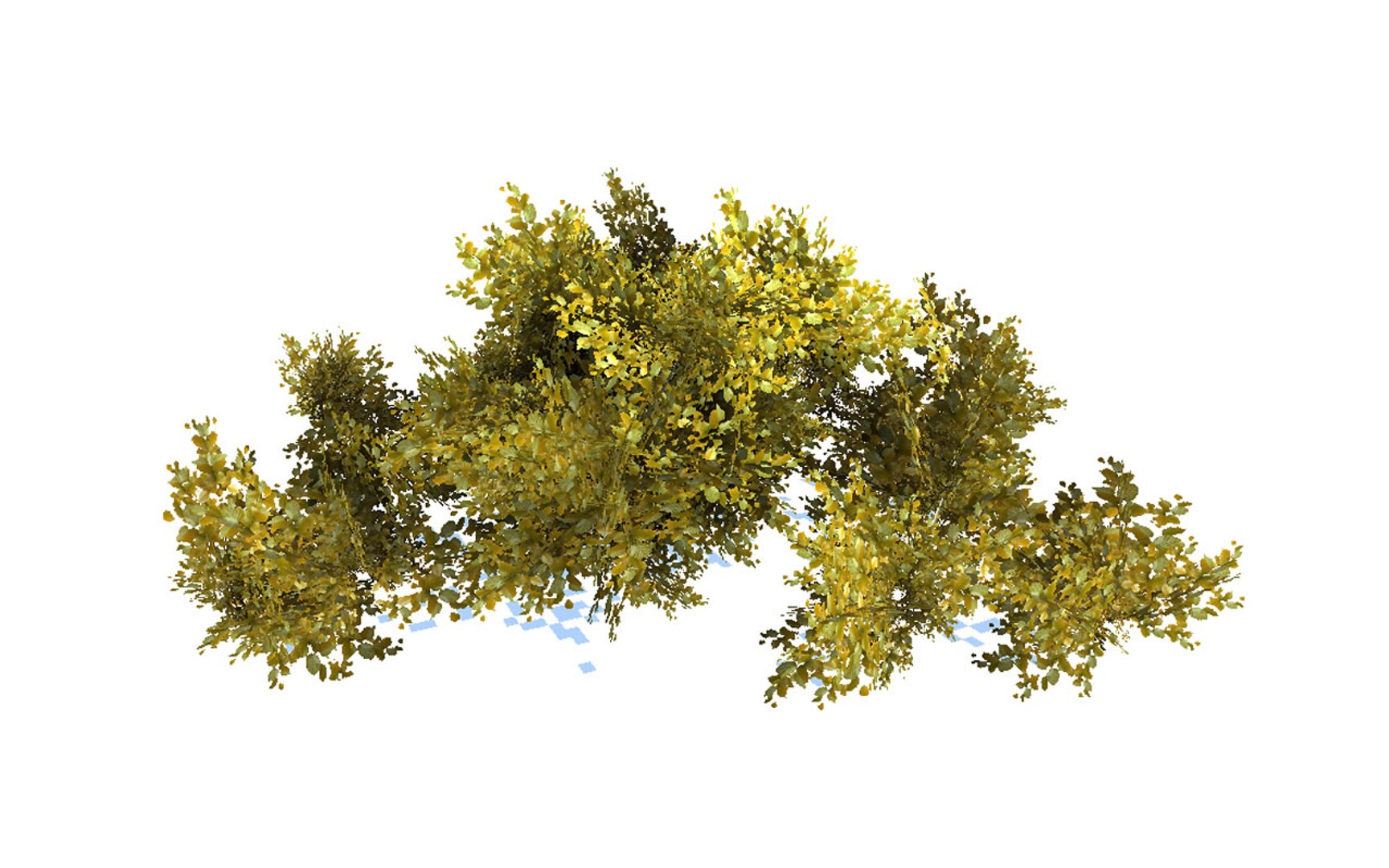 Natural Forest Bushes 3D Model - TurboSquid 1513579