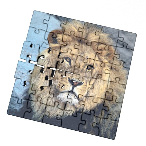 3d model puzzle 36