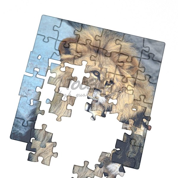 3d model puzzle 36