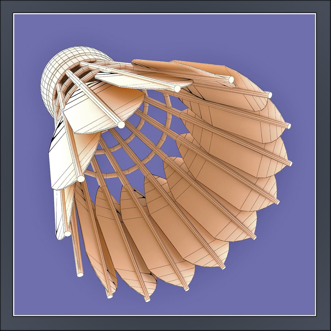 3d Badminton Shuttlecock