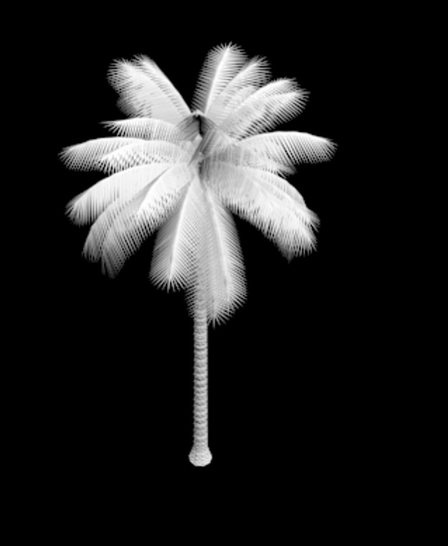 palm tree 3d