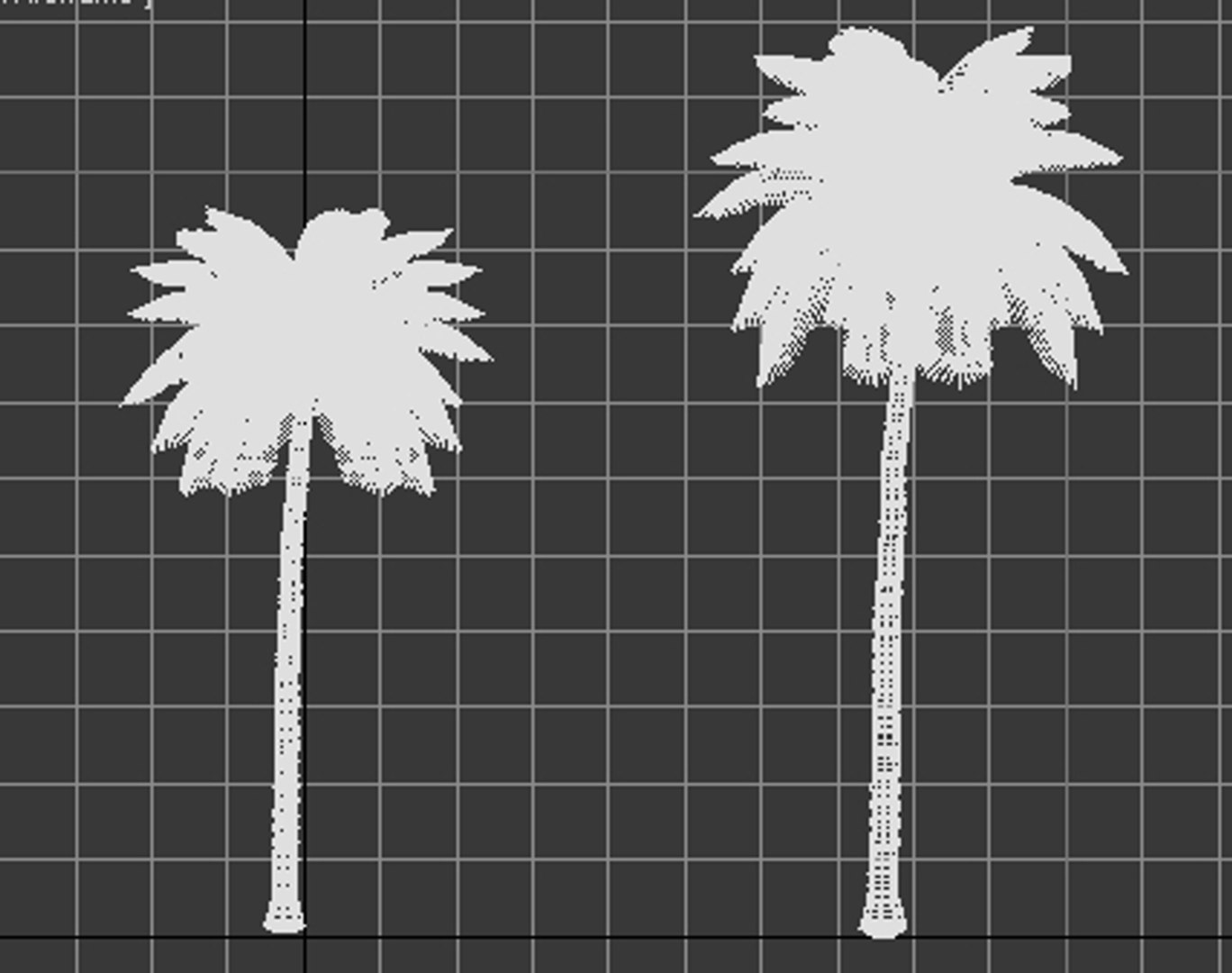 palm tree 3d
