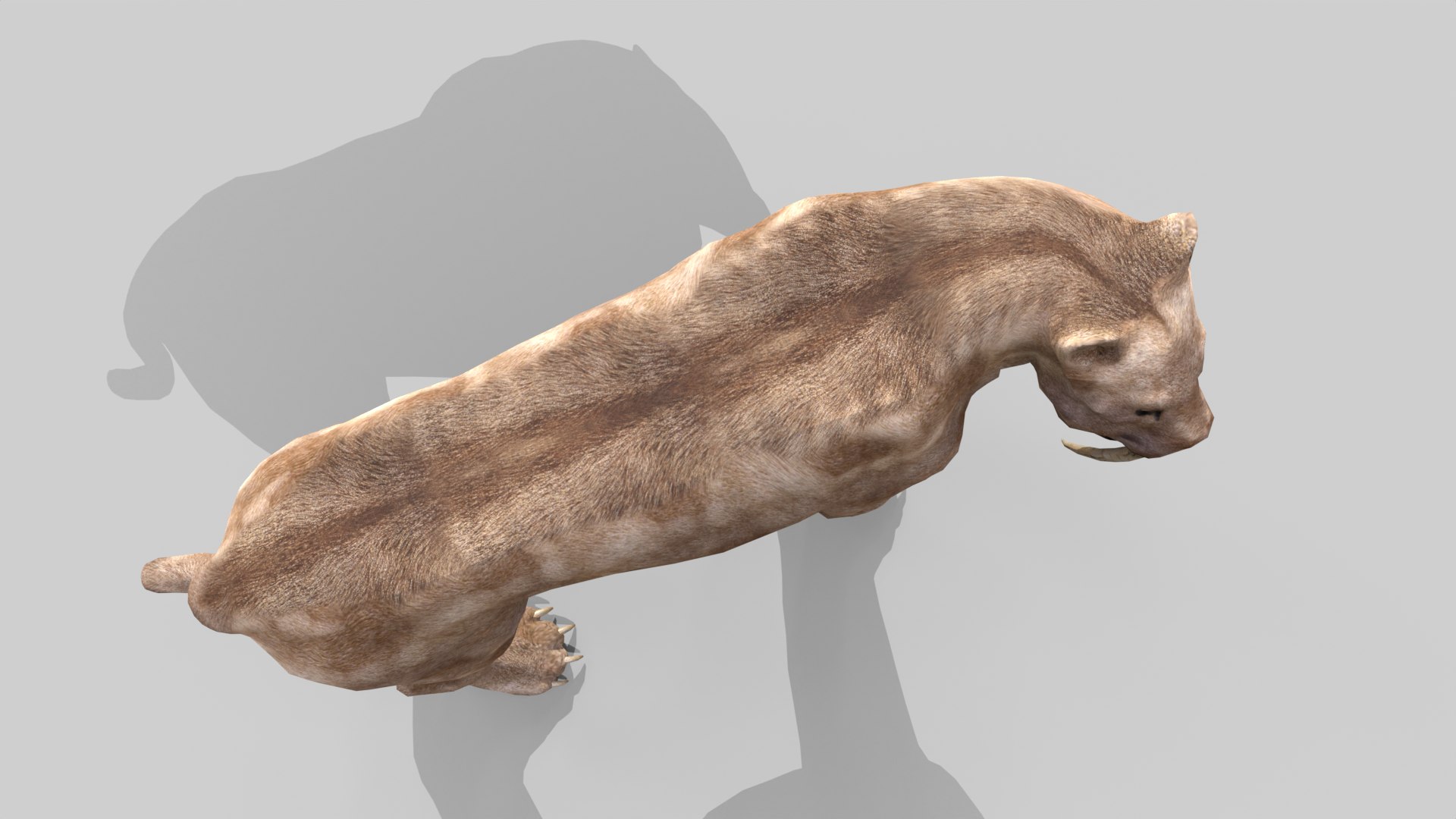 Sabertooth 3D Model - TurboSquid 2224307