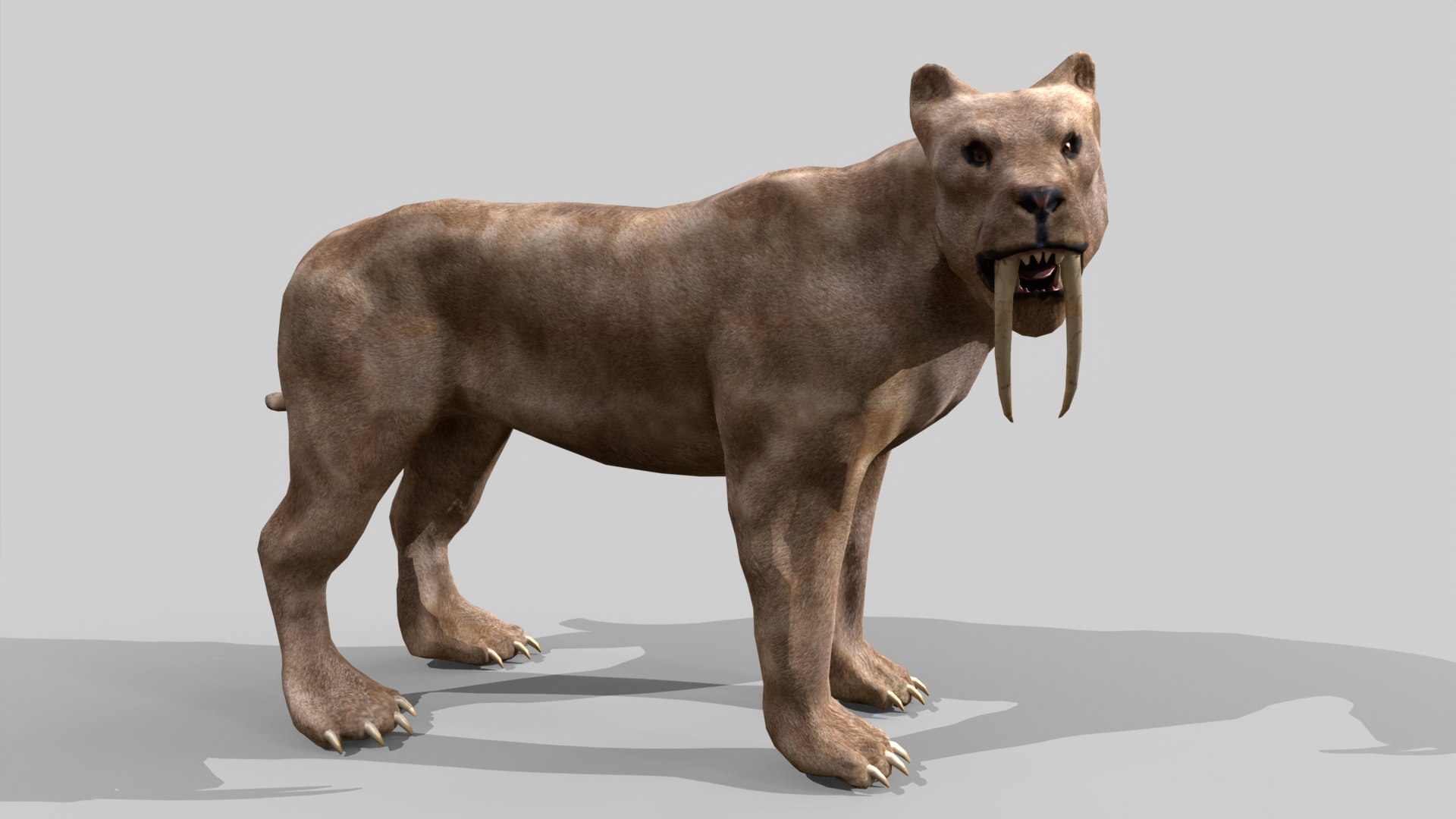 Sabertooth 3D Model - TurboSquid 2224307