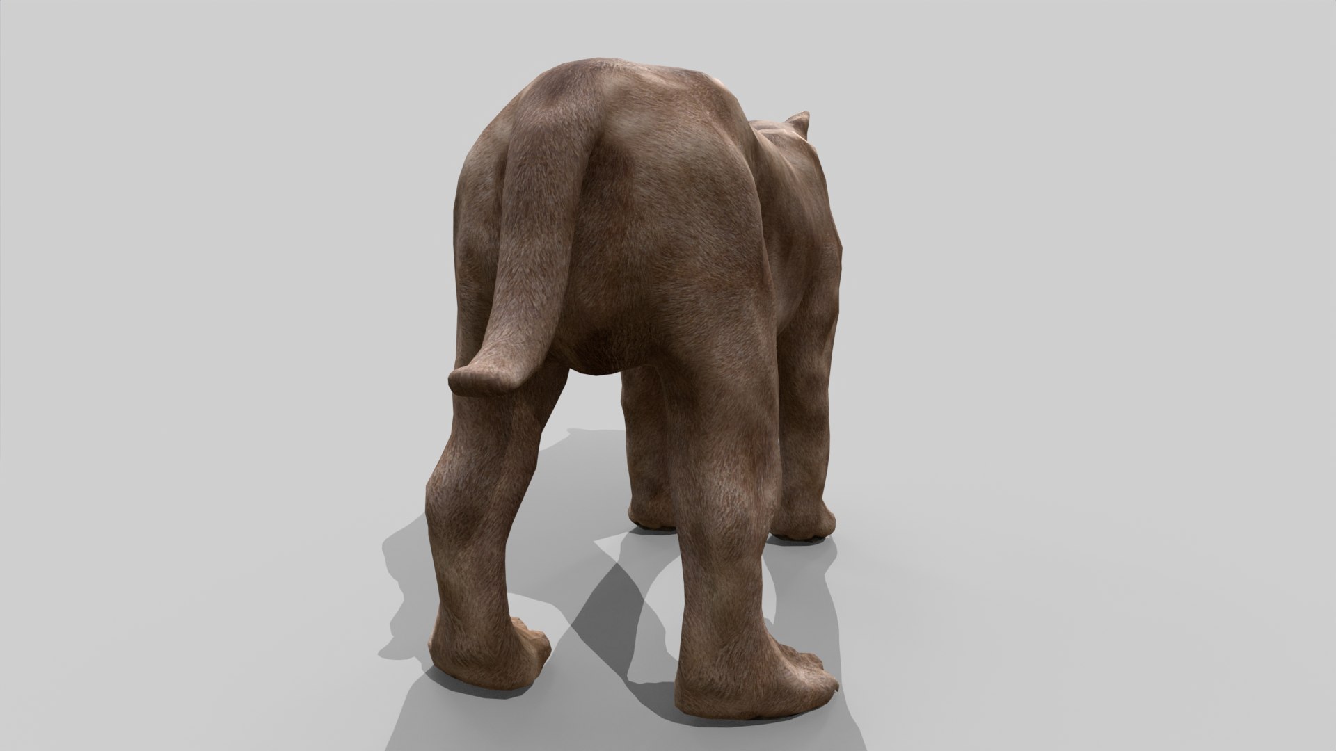 Sabertooth 3D Model - TurboSquid 2224307