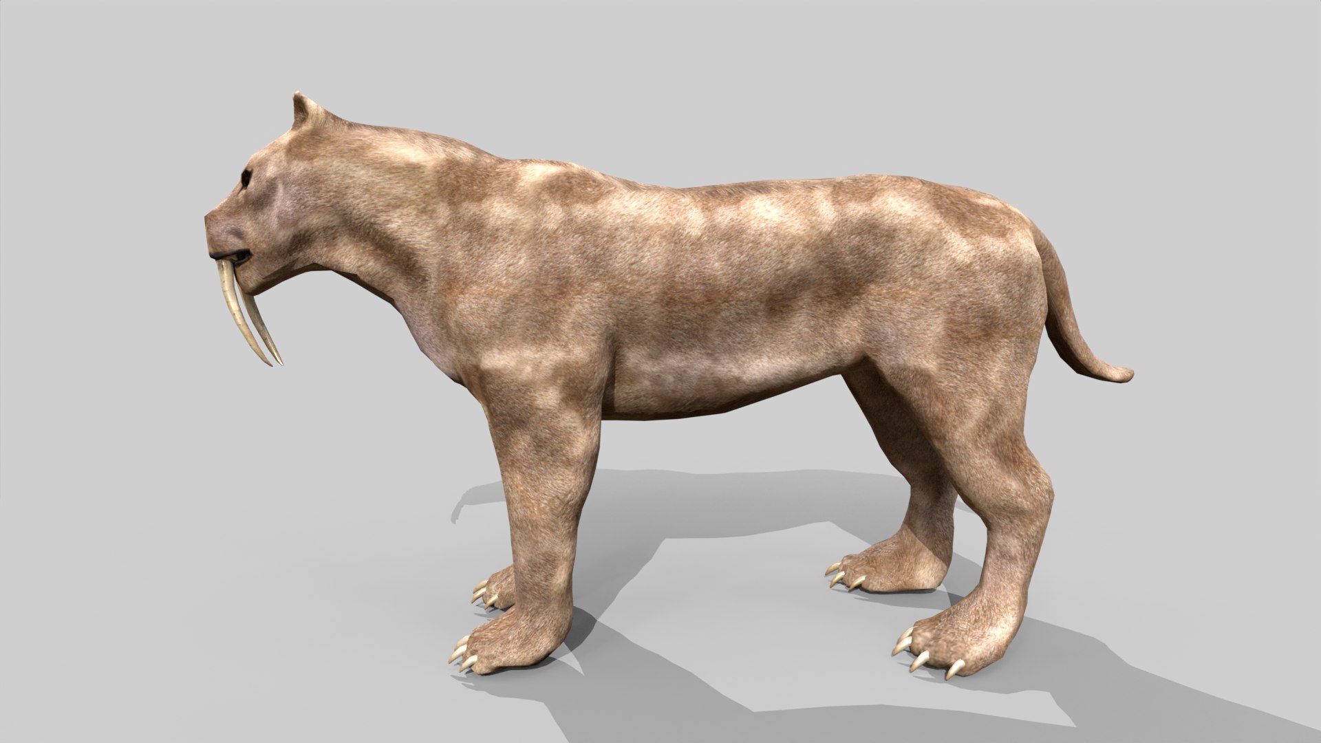 Sabertooth 3D Model - TurboSquid 2224307