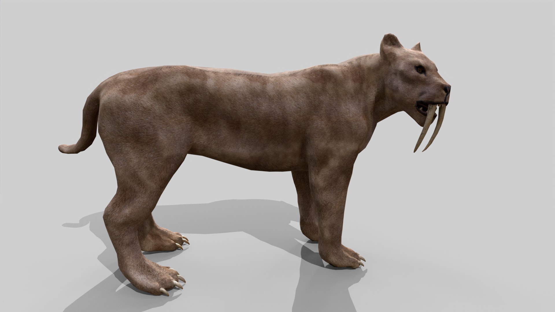 Sabertooth 3D Model - TurboSquid 2224307