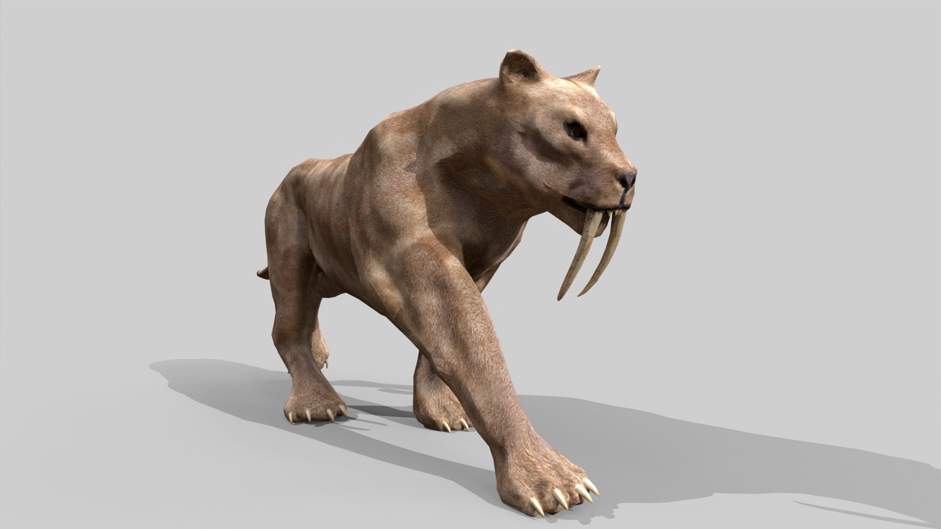 Sabertooth 3D Model - TurboSquid 2224307