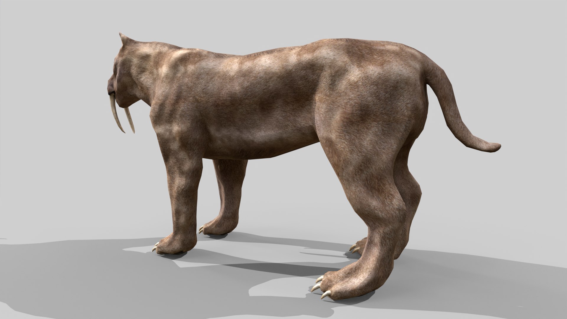 Sabertooth 3D Model - TurboSquid 2224307