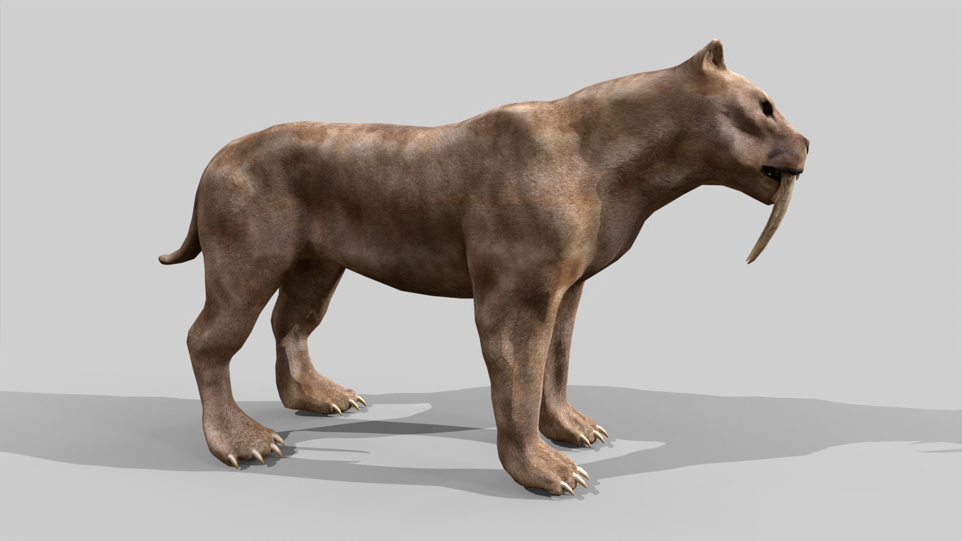 Sabertooth 3D Model - TurboSquid 2224307