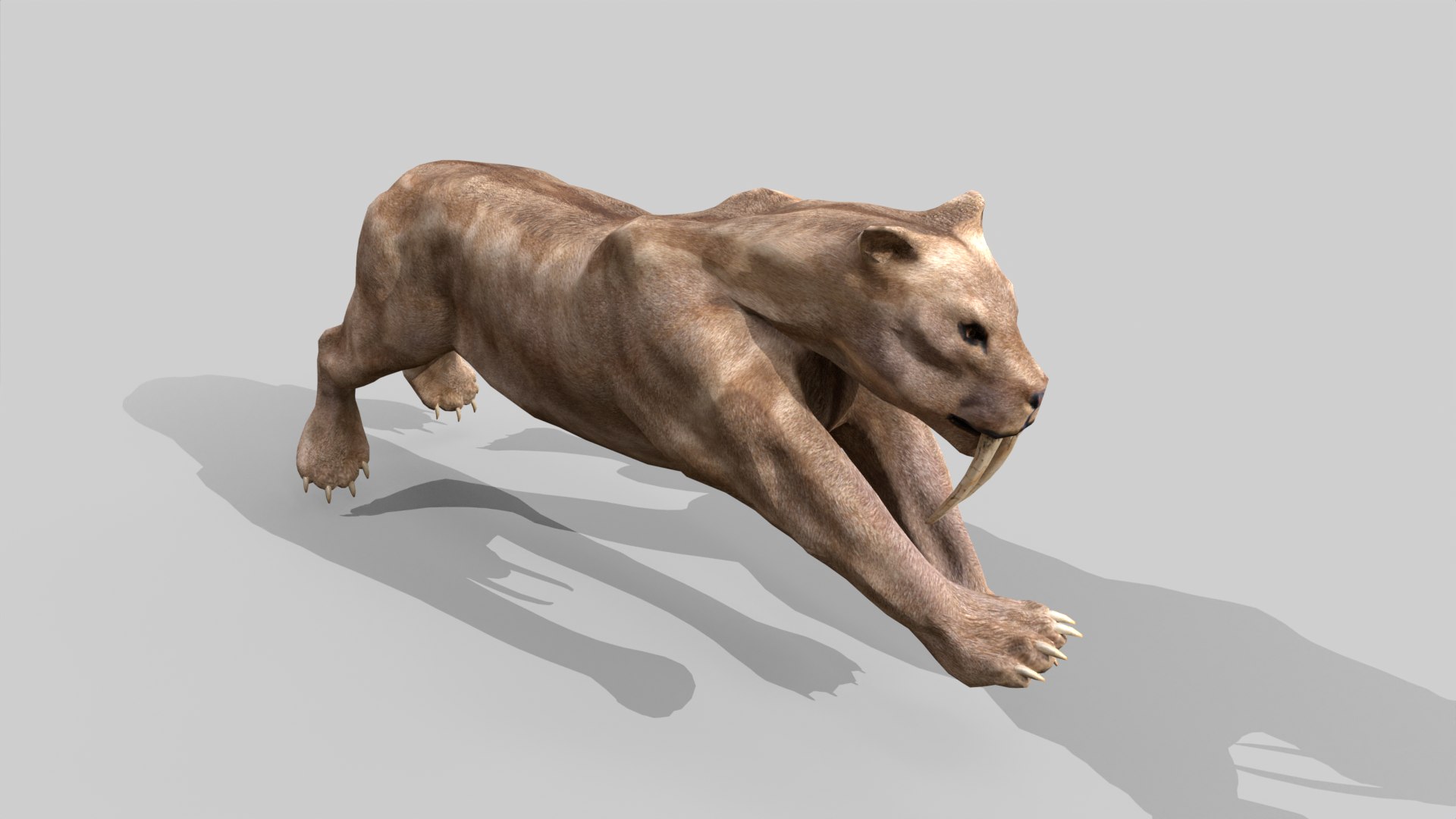Sabertooth 3D Model - TurboSquid 2224307