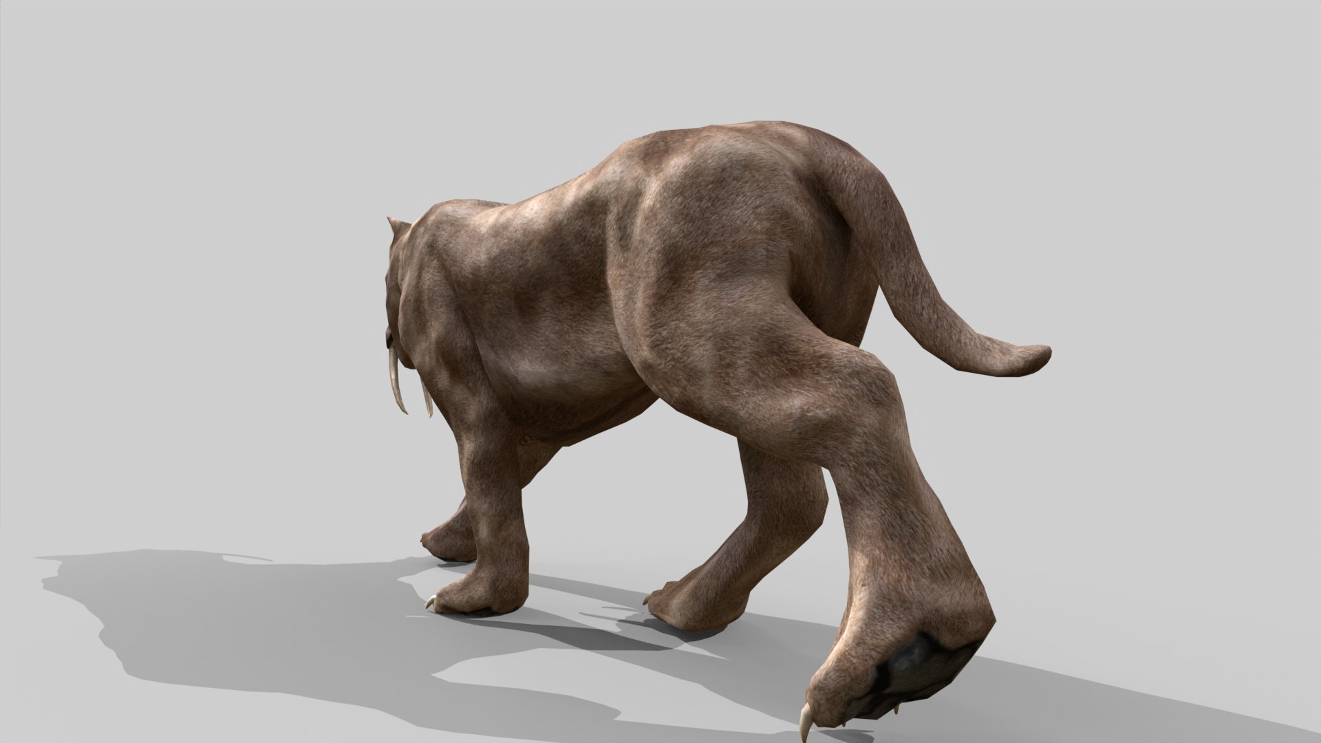 Sabertooth 3D Model - TurboSquid 2224307