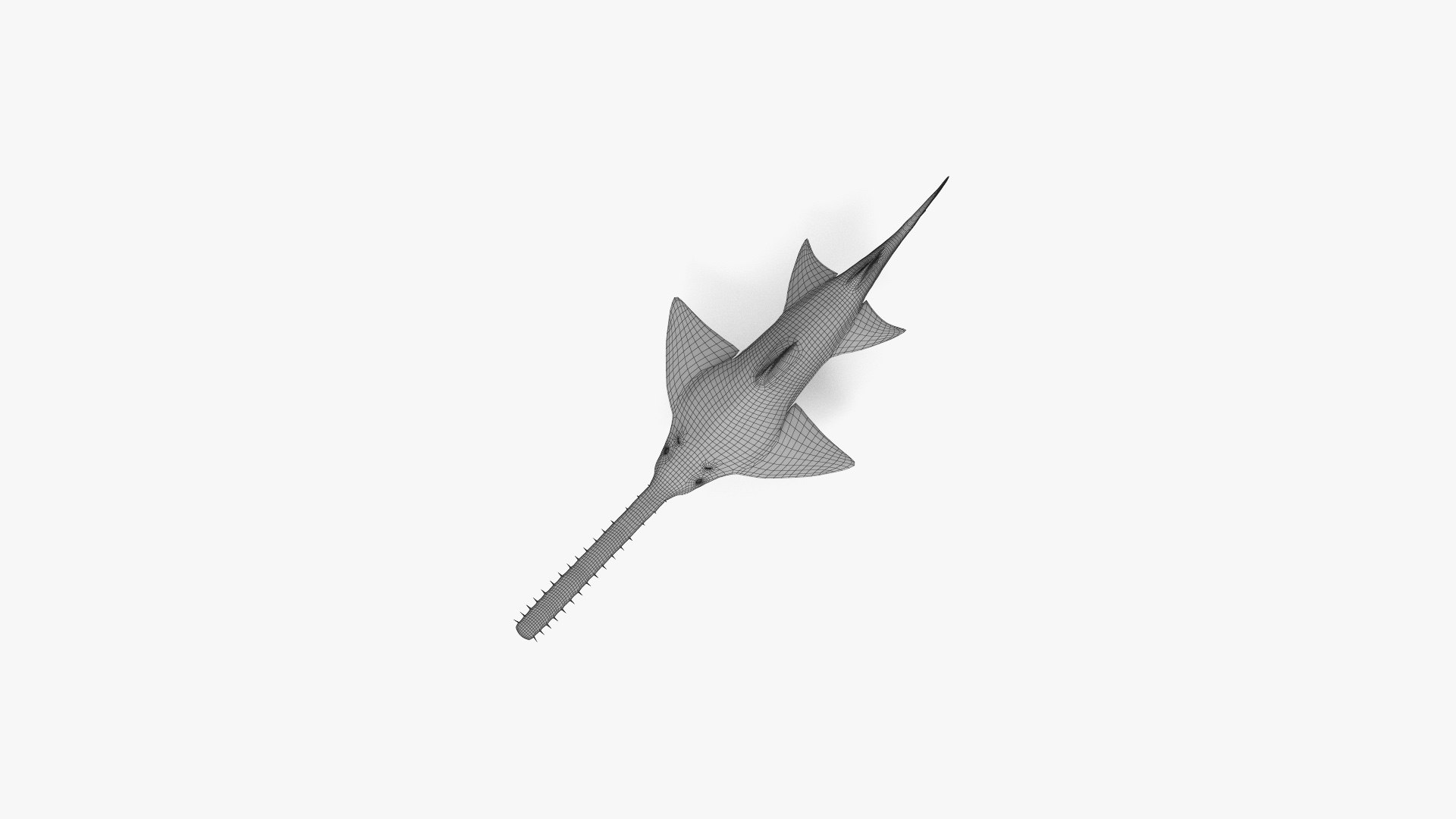 Sawfish Model - TurboSquid 2184420