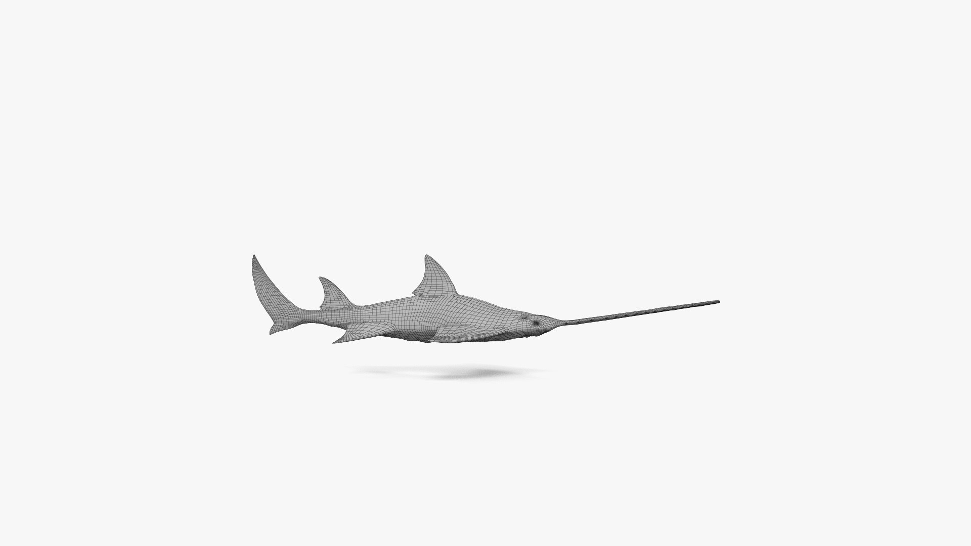 Sawfish Model - TurboSquid 2184420