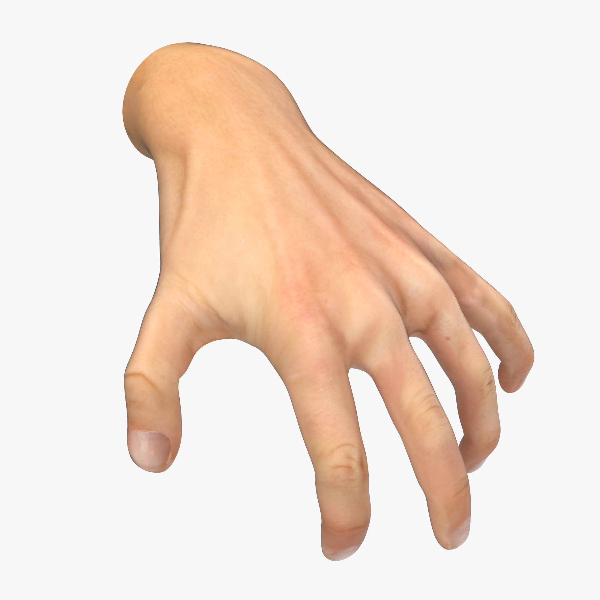3d hand rigged poses skin