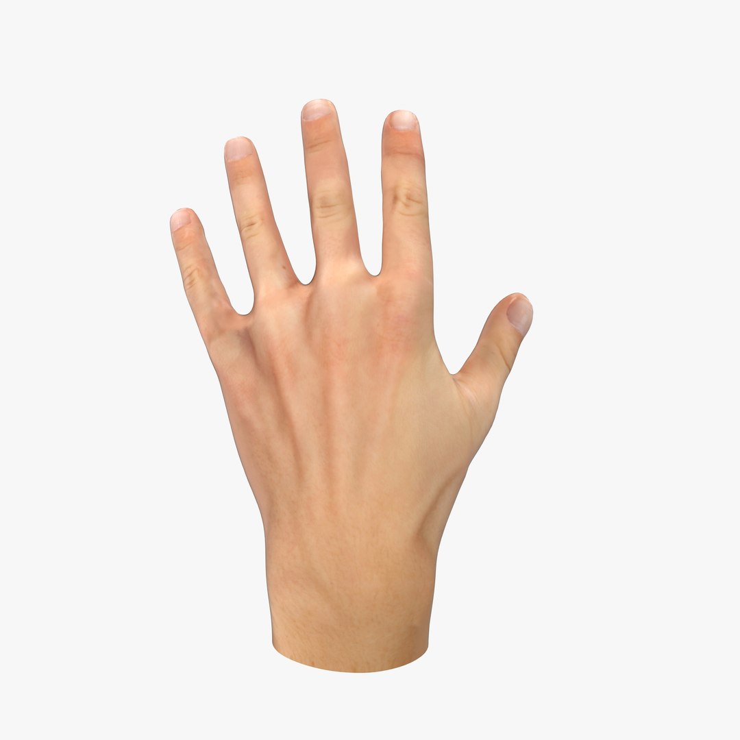 3d hand rigged poses skin