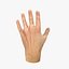 3d Hand Rigged Poses Skin