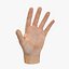3d Hand Rigged Poses Skin