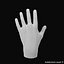 3d Hand Rigged Poses Skin