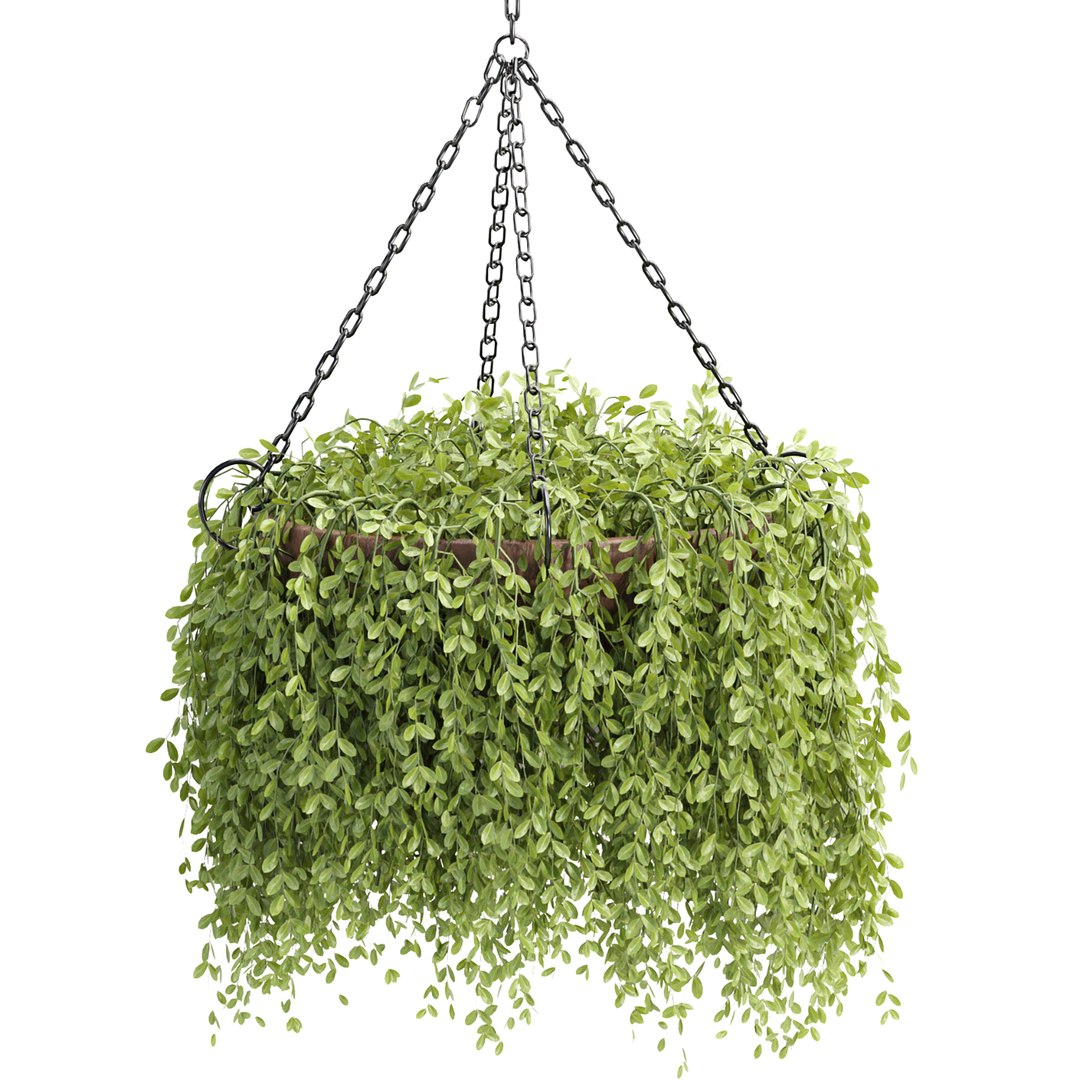 3D Model Hanging Plants Collection Vol 142 - TurboSquid 1984201