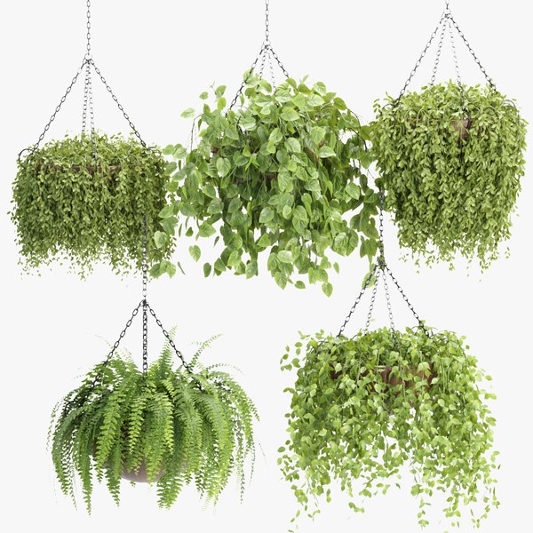 3D model Artificial Hanging Flowers vol 59 - TurboSquid 1957581