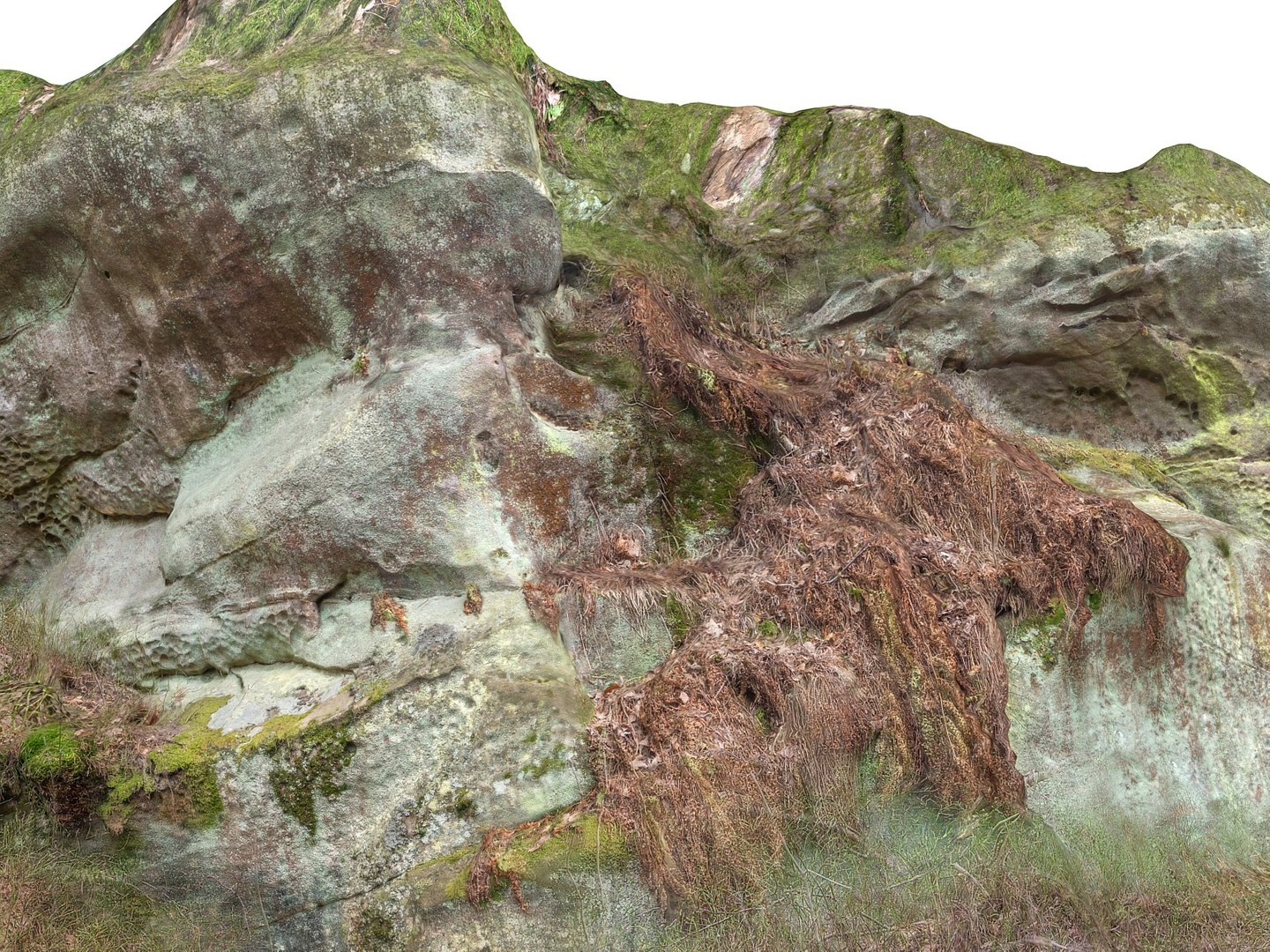 rock cliff wall 16k obj