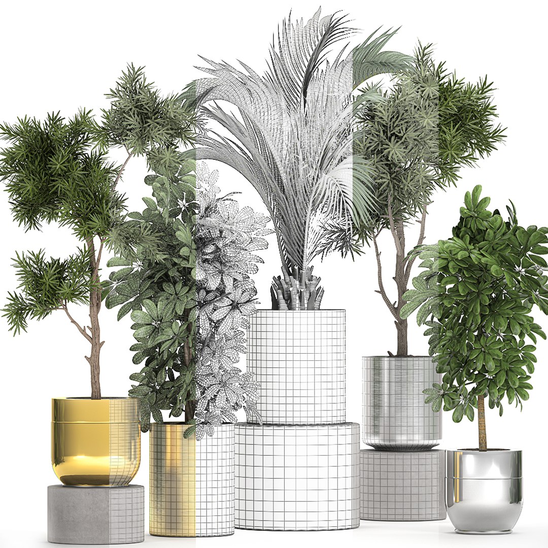 3D Ornamental Plants Chrome Flowerpot - TurboSquid 1660016