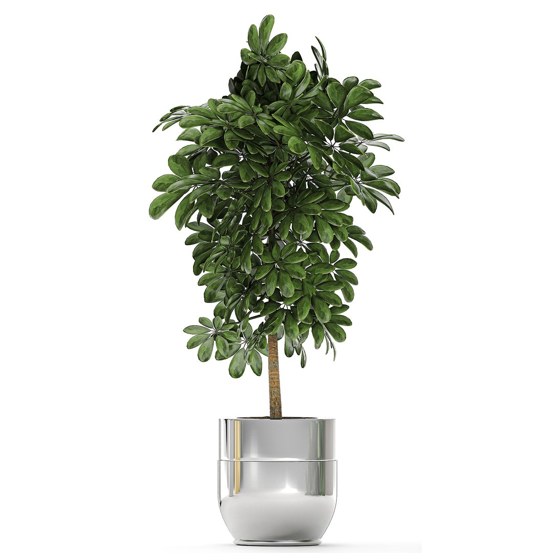 3D Ornamental Plants Chrome Flowerpot - TurboSquid 1660016