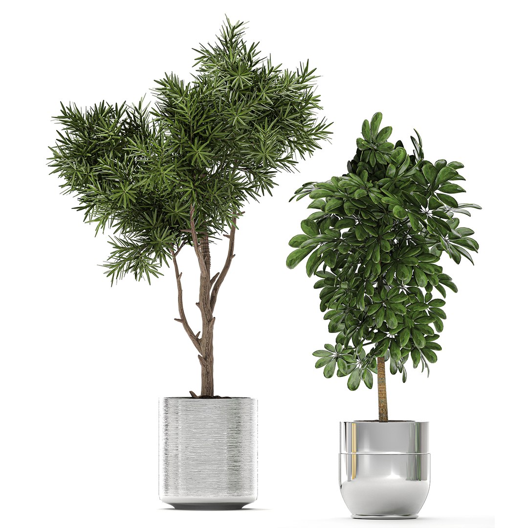 3D Ornamental Plants Chrome Flowerpot - TurboSquid 1660016