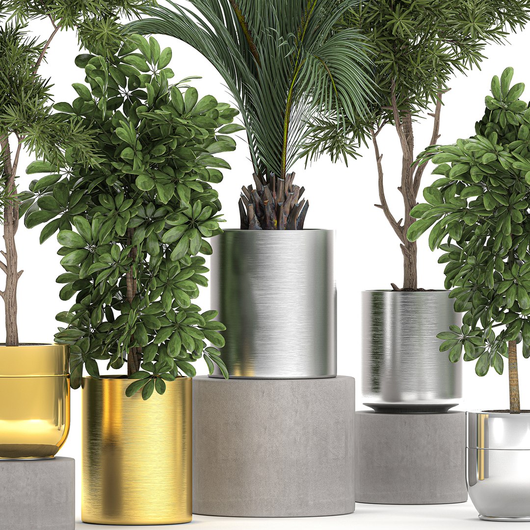 3D Ornamental Plants Chrome Flowerpot - TurboSquid 1660016