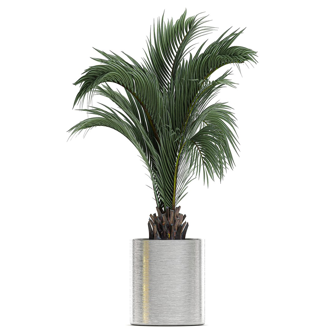 3D Ornamental Plants Chrome Flowerpot - TurboSquid 1660016