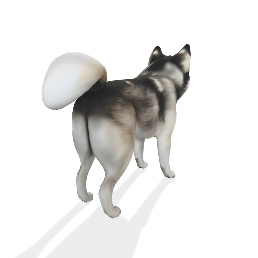 Loyal Stylized Siberian Husky 3D Model - TurboSquid 2324763