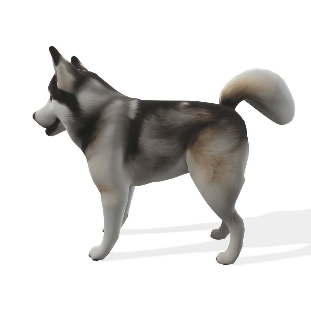 Loyal Stylized Siberian Husky 3D Model - TurboSquid 2324763
