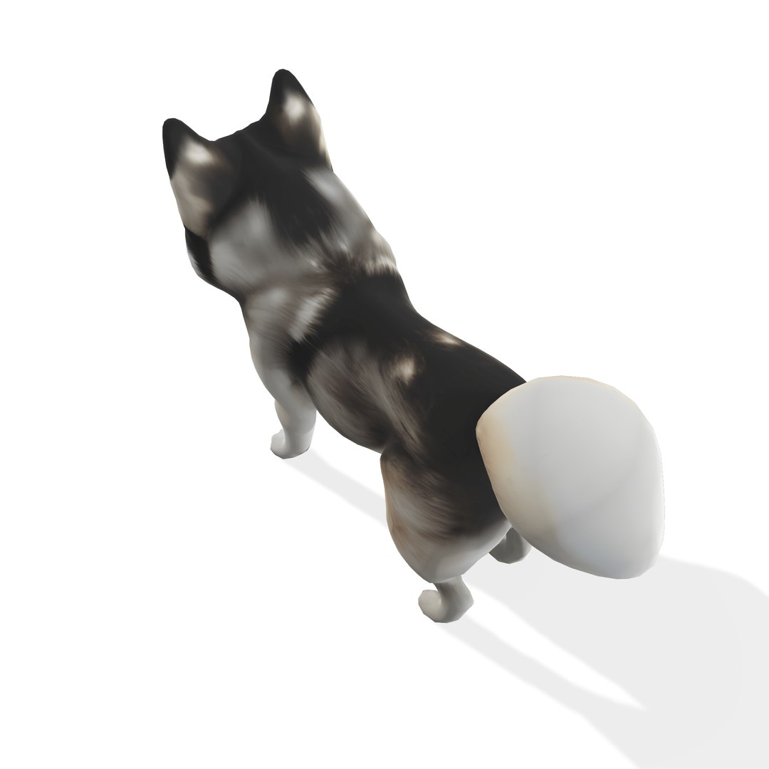Loyal Stylized Siberian Husky 3D Model - TurboSquid 2324763