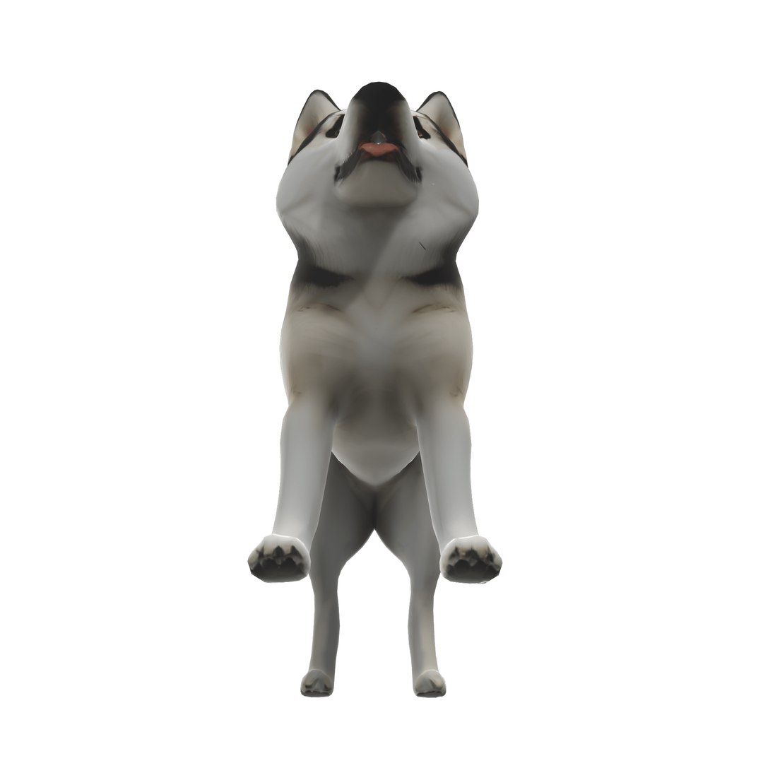 Loyal Stylized Siberian Husky 3D Model - TurboSquid 2324763