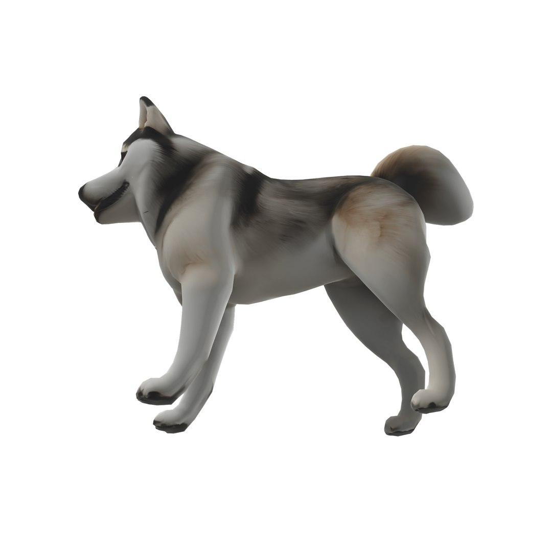Loyal Stylized Siberian Husky 3D Model - TurboSquid 2324763