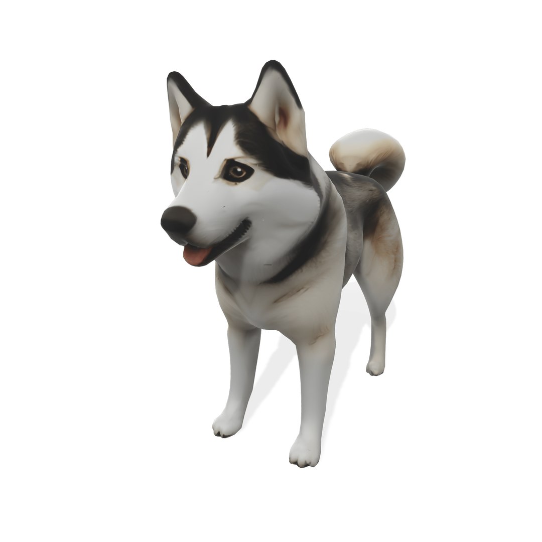 Loyal Stylized Siberian Husky 3D Model - TurboSquid 2324763